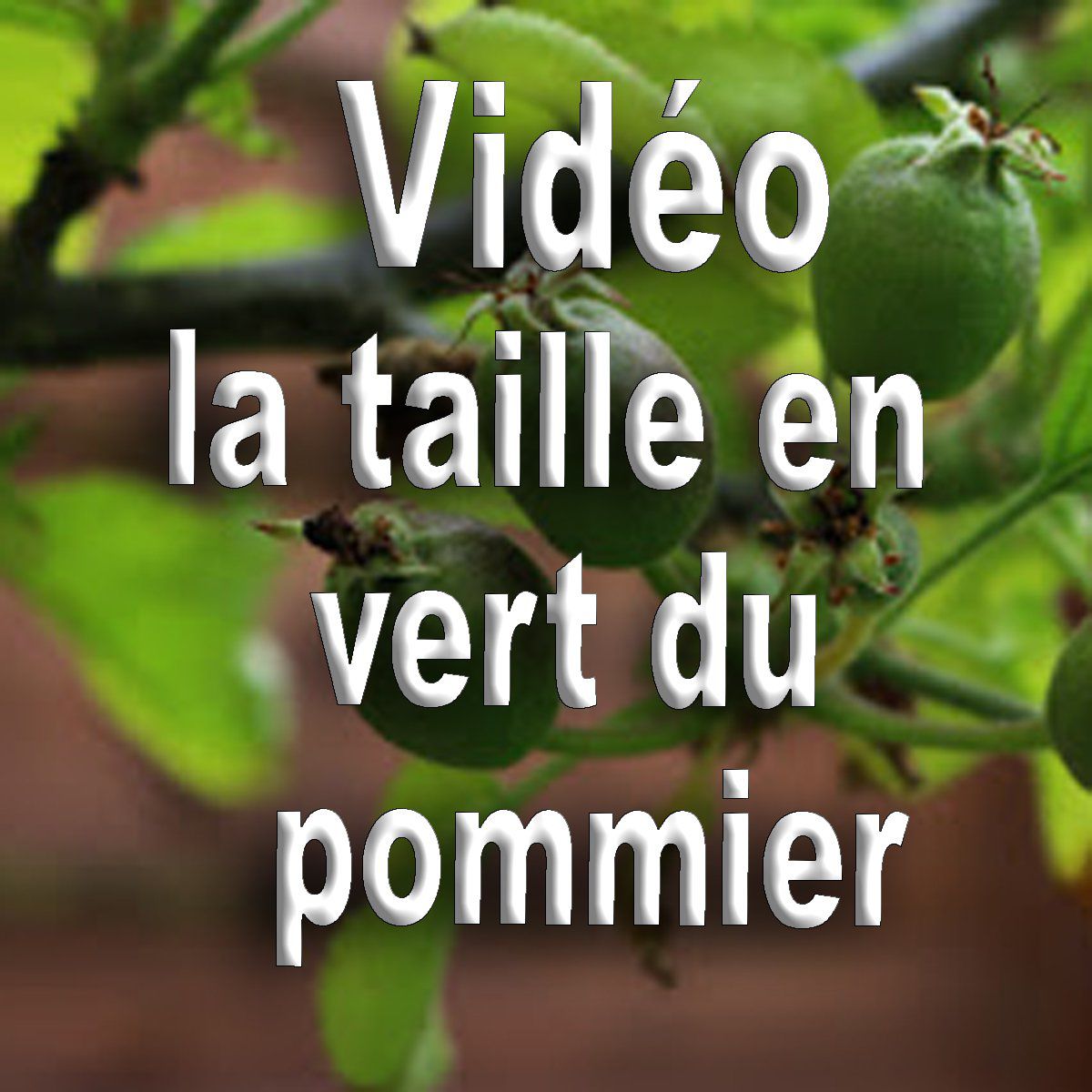 Vidéo: comment tailler en vert le pommier bio (méthode B.E.H ...